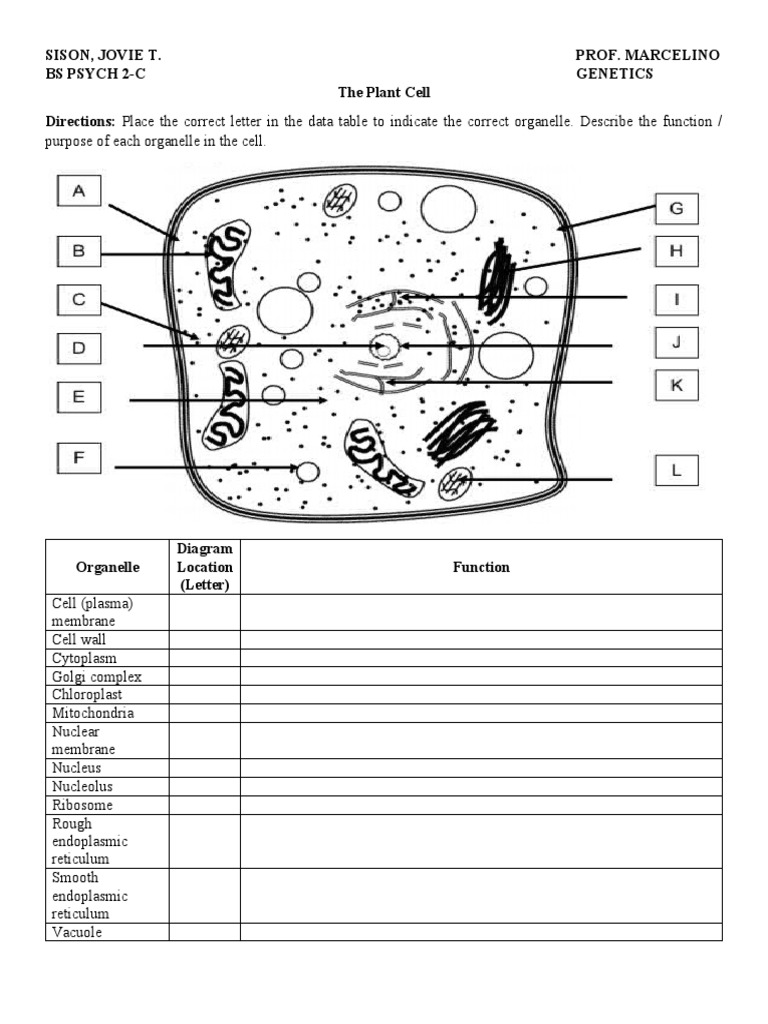 PDF16.the Plant Cell | PDF
