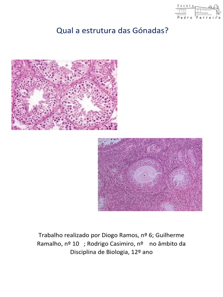 Qual A Estrutura Das Gónadas | PDF | Reprodução | Processos biológicos