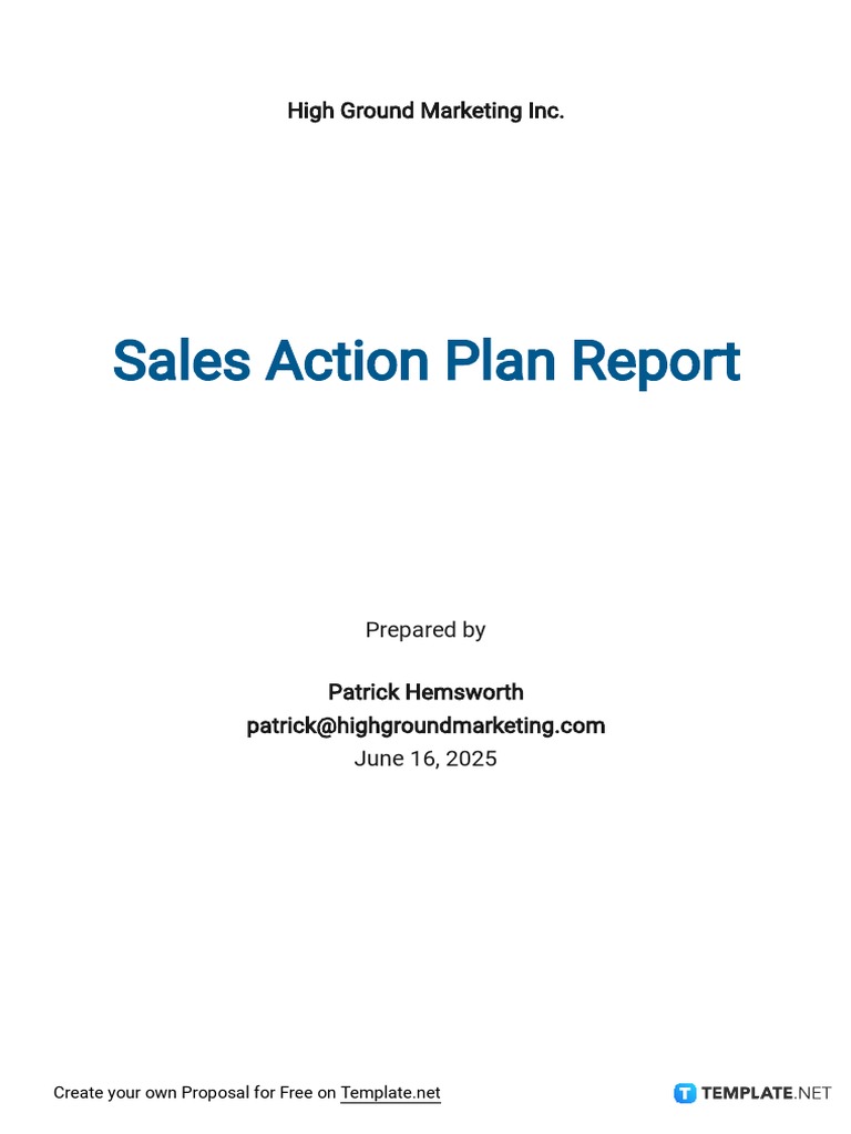 Free Sales Action Plan Report Template | PDF