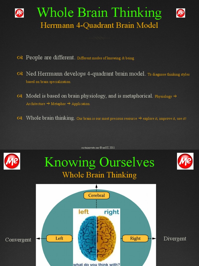 People Are Different. Ned Herrmann Develops 4-Quadrant Brain Model | PDF