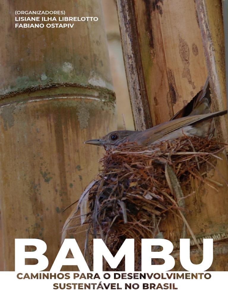 Livro Bambu Caminhos para o Desenvolvimento Sustentável | PDF | Cana de ...