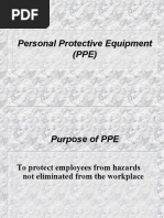 PPE Matrix Template | PDF