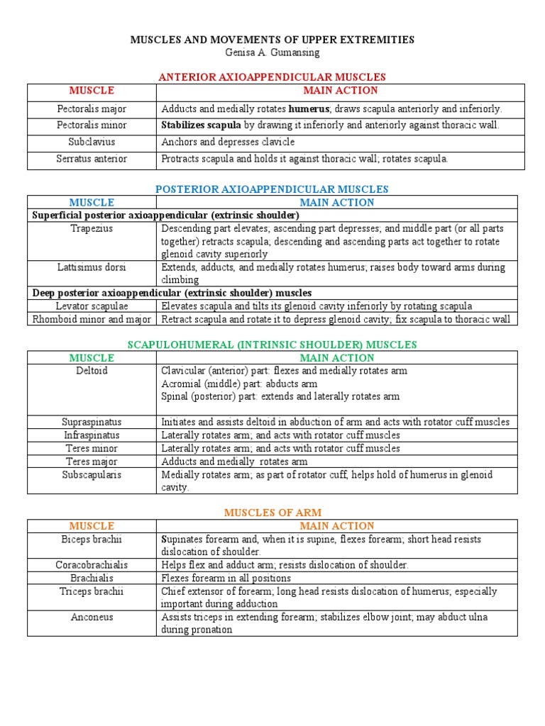 Li 3 Muscles and Movements | PDF | Thumb | Anatomical Terms Of Motion