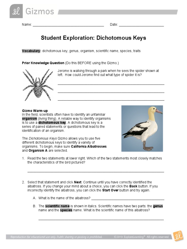 Student Exploration: Dichotomous Keys: Vocabulary: Dichotomous Key ...