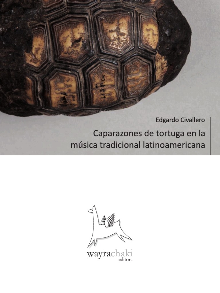 Caparazones de Tortuga en La Música Tradicional Latinoamericana | PDF ...