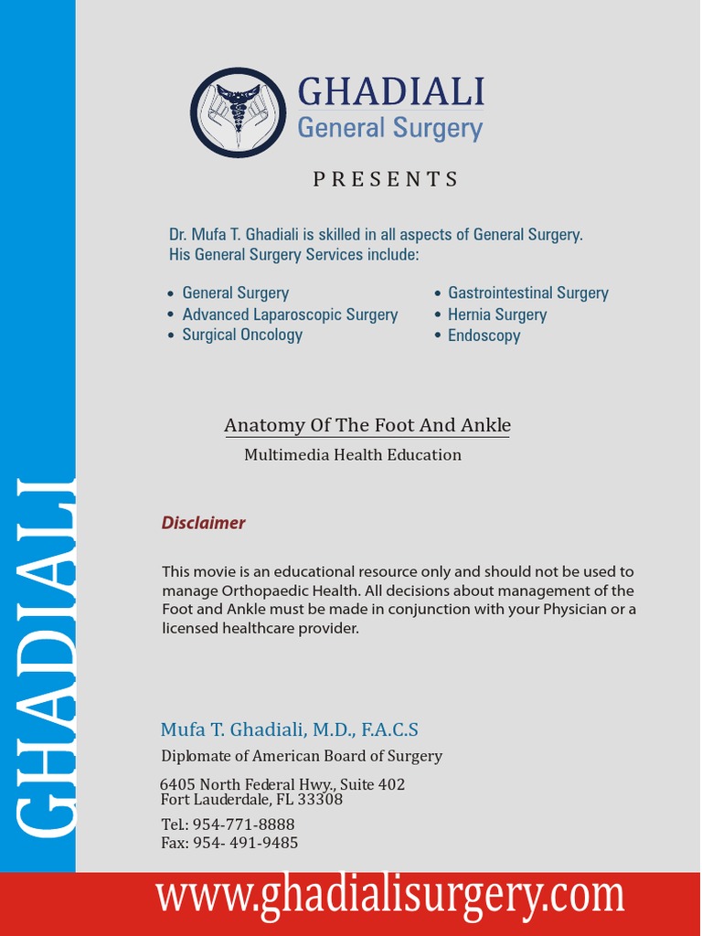 Anatomy Foot Ankle Pdf Foot Ankle
