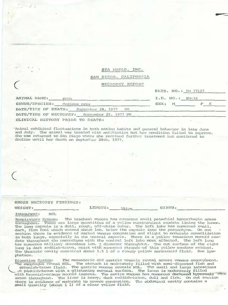 #1 (3pgs), Kona (Necropsy), Record From DOC-NOAA-2014-001615 | PDF ...