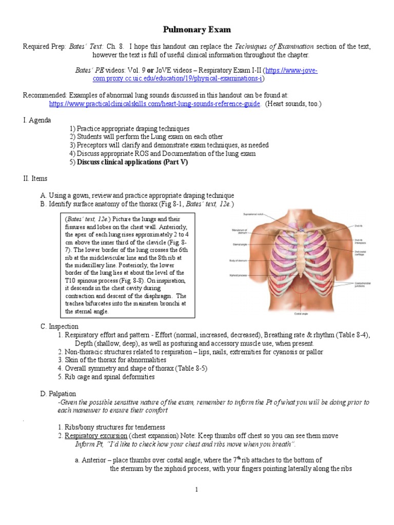 Pulmonary Exam 2020 | Download Free PDF | Lung | Thorax