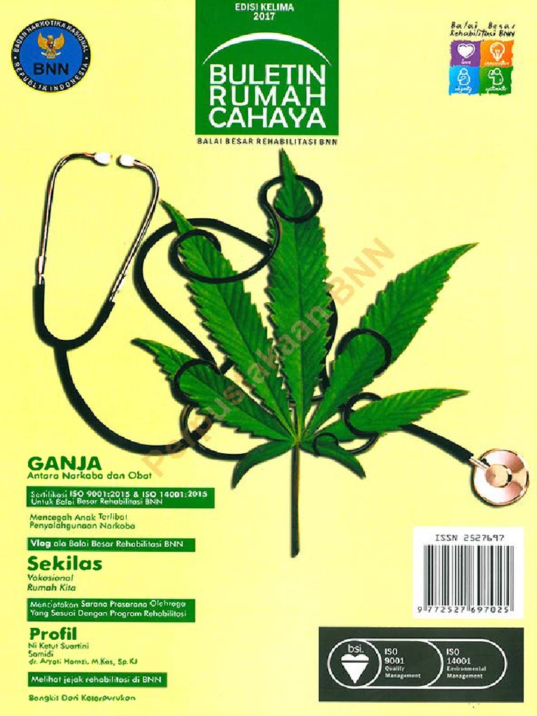 Buletin Rumah Cahaya Balai Besar Rehabilitasi BNN | PDF