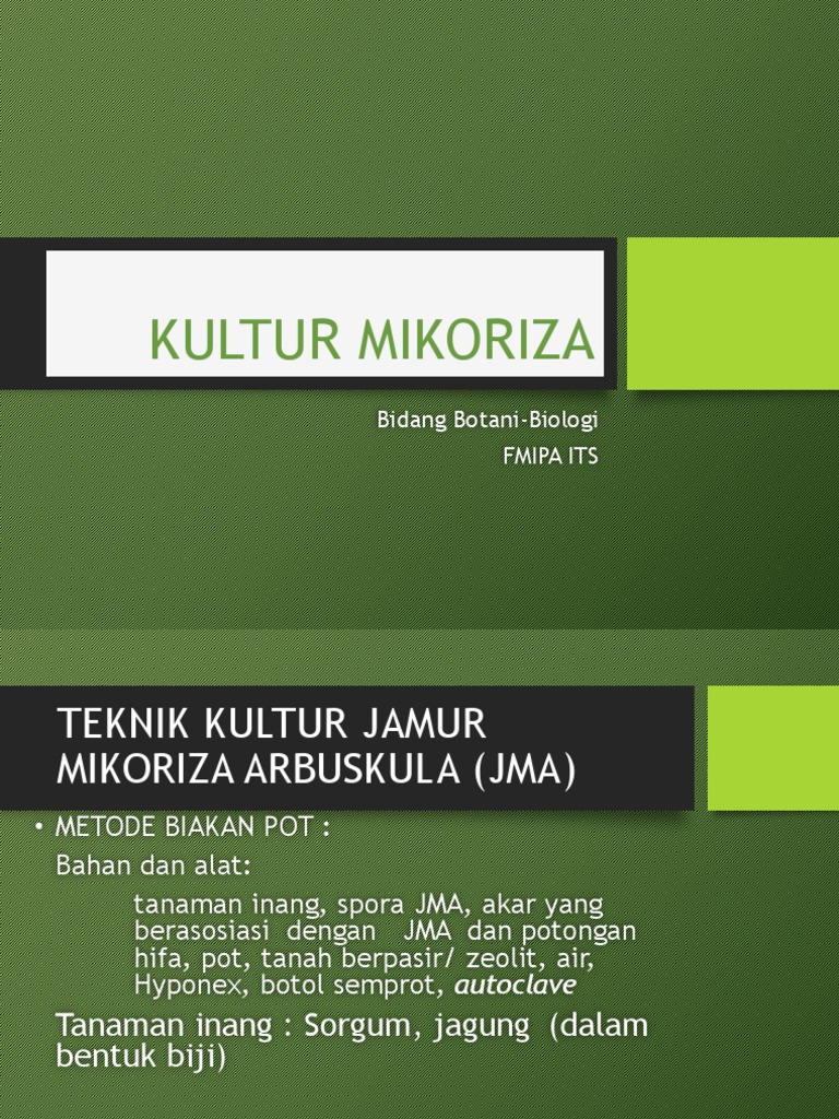 Teknik Kultur Mikoriza | PDF