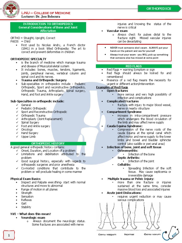 1.1 Intro To Orthopedics 2020 | PDF | Orthopedic Surgery | Hip