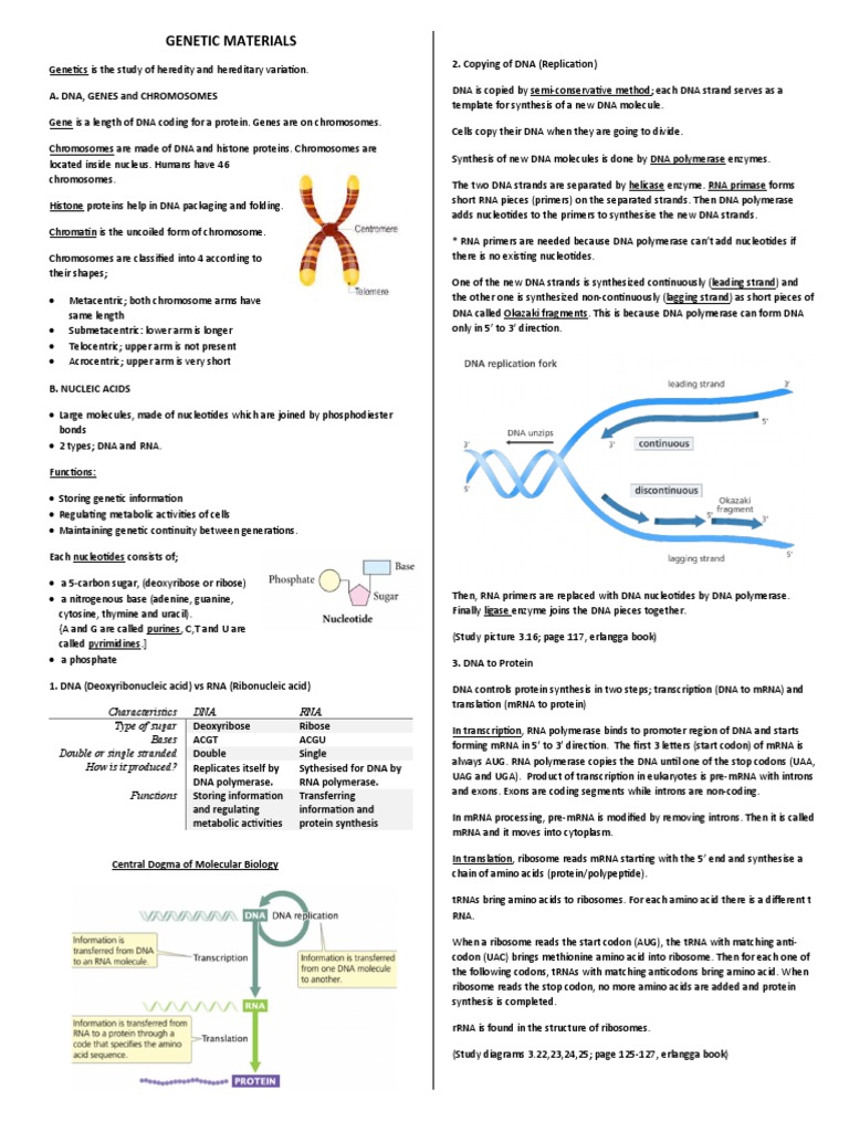 Class 12 - Genetics Notes | PDF | Dna | Rna