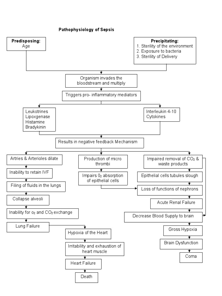 Sepsis Pathophysiology Overview | PDF | Inflammation | Sepsis