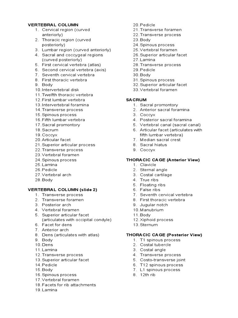 Vertebral Column-Thoracic Cage | PDF | Vertebra | Vertebral Column