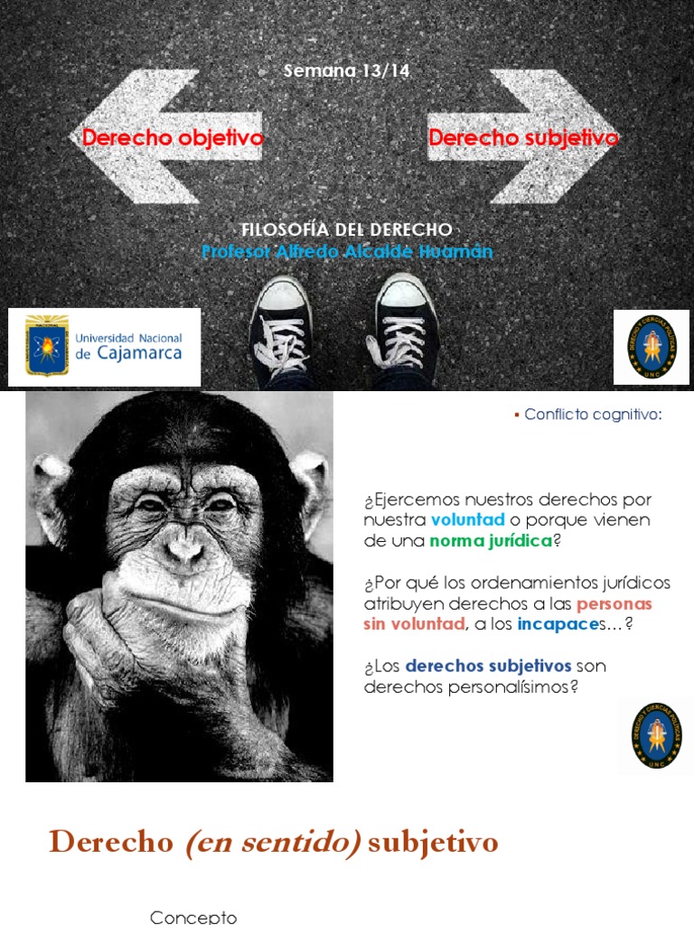 Derecho Objetivo y Derecho Subjetivo | PDF | Legislación | Derechos