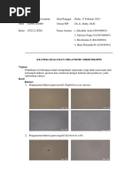 BIO1102 2023 Genap 03b LEMBAR KERJA Opera Gelembung Sabun | PDF