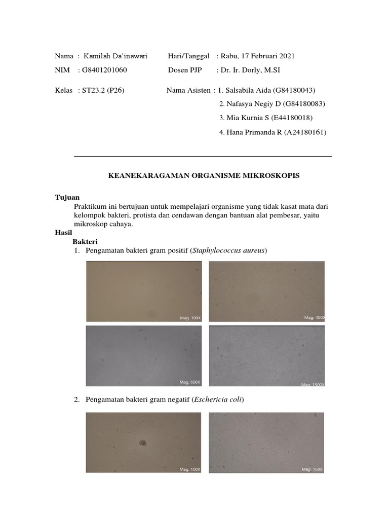 Kamilah Da'Inawari - G8401201060 - Laporan Biodas Minggu Ke-2 | PDF