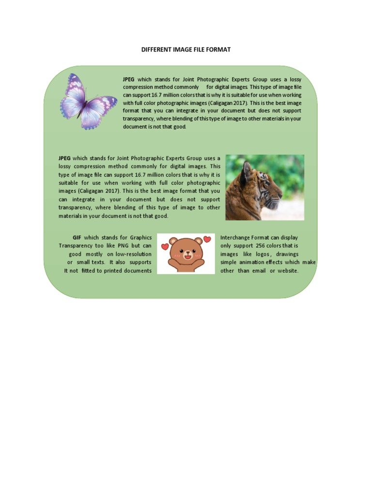 Different Image File Format: JPEG Which Stands For Joint Photographic ...