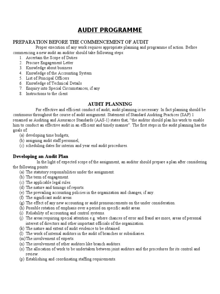 Audit Programme 1 | PDF | Internal Control | Audit