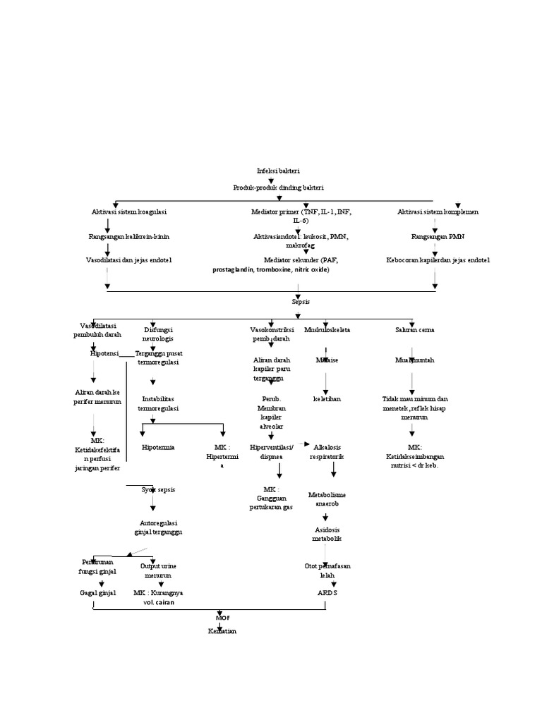 Woc Syok Septik | PDF