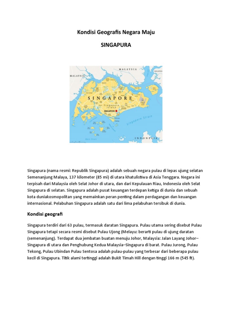 Kondisi Geografi Negara Maju (Singapura) | PDF