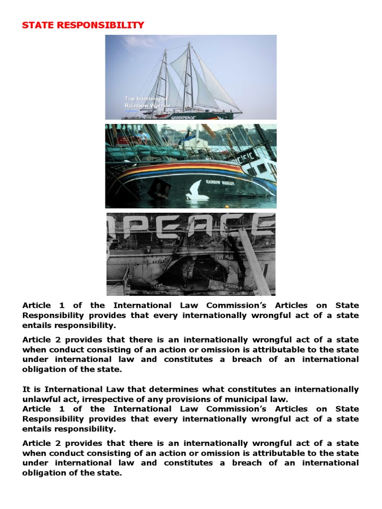 State Responsibility Public International Law | PDF | International Law ...