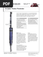 API 11D1 Packers and Bridge Plugs | PDF