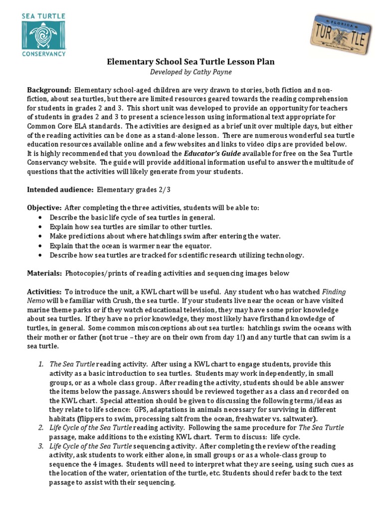 Elementary School Sea Turtle Lesson Plan | PDF | Sea Turtle | Turtle