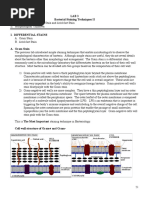 Experiment 7: Bacterial Diversity Pre-Lab | PDF | Bacteria | Gram ...