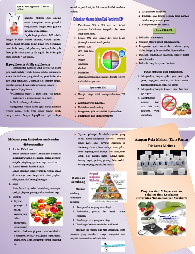 Leaflet Diit DM | PDF