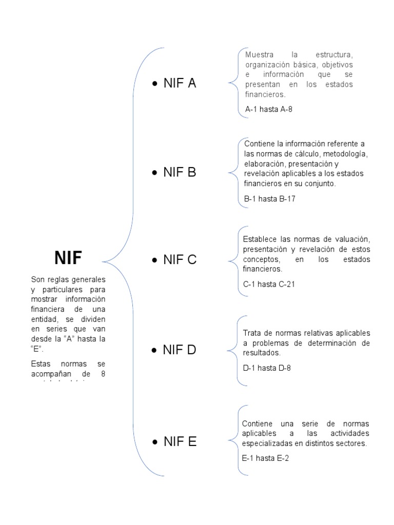 Clasificacion de Las Nif | PDF