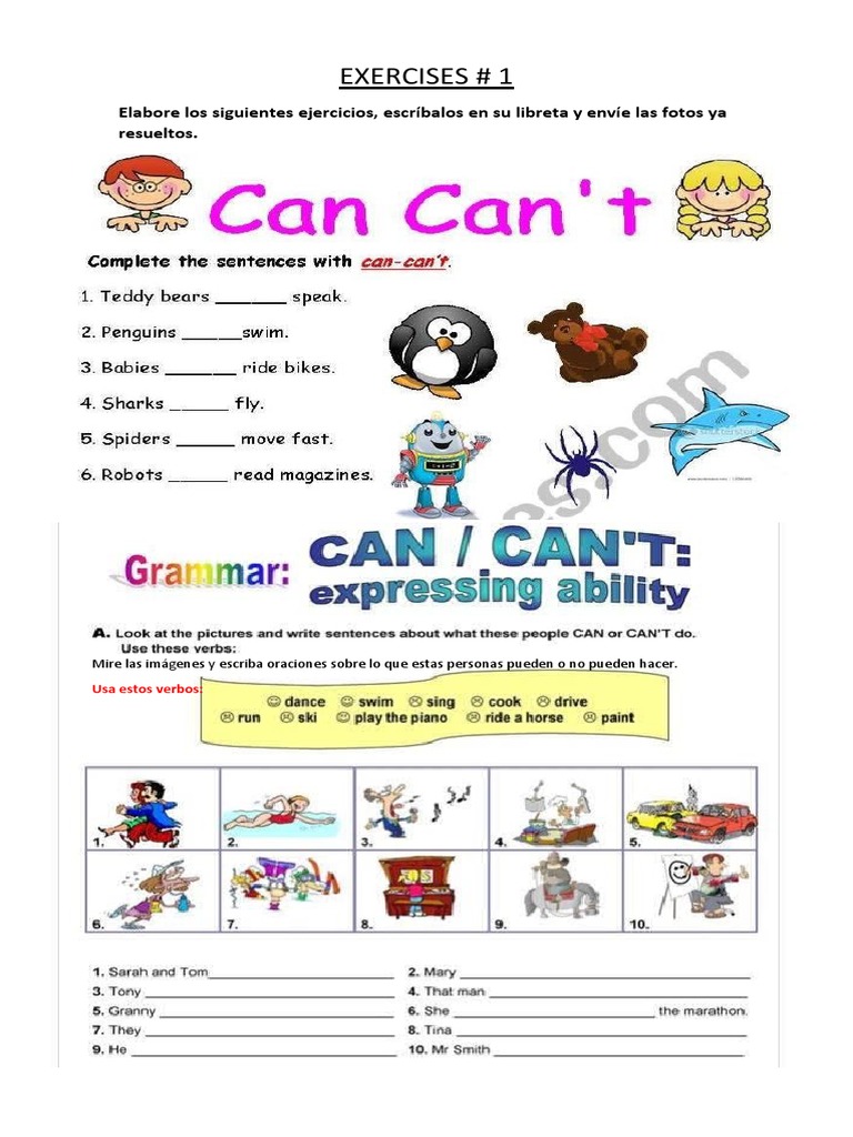 Exercises Can and Can T | PDF