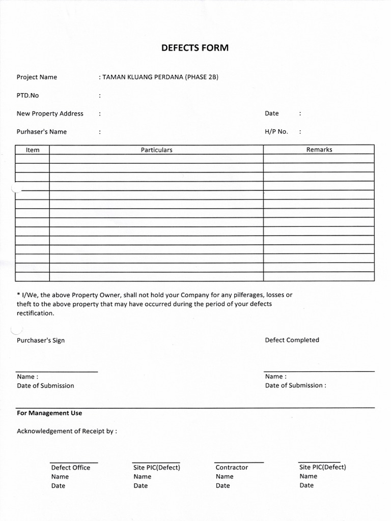 Defects Form | PDF
