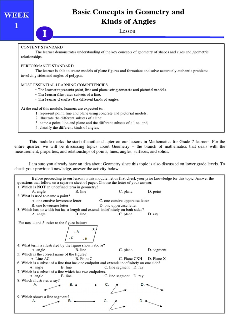 Basic Geometry Concepts and Types of Angles | PDF | Line (Geometry) | Angle