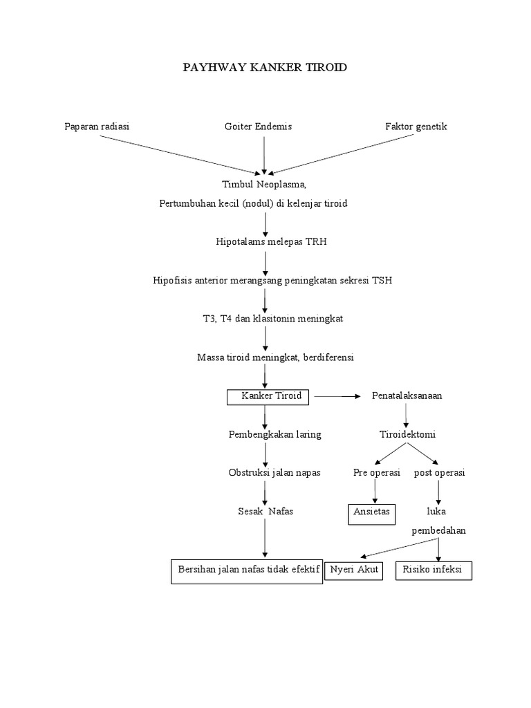 Pathway Kanker Tiroid | PDF