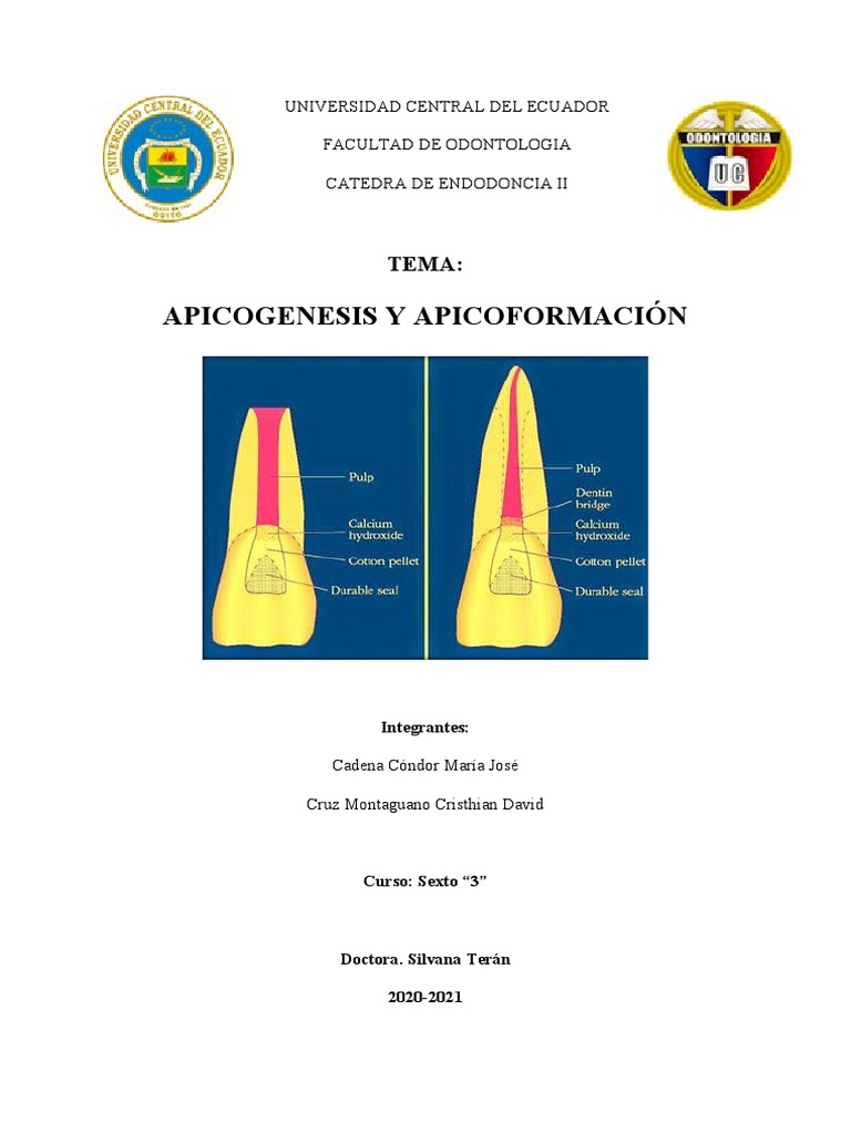 Apicogenesis y Apicoformación | PDF | Medicina CLINICA | Especialidades ...