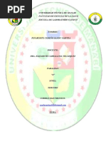 caratula-de-ingenieria-civil-2018_compress | PDF