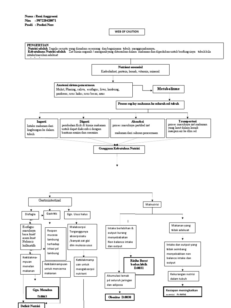 Woc Kebutuhan Nutrisi | PDF