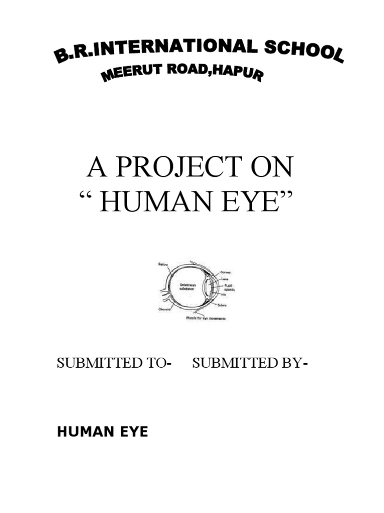 A Project On " Human Eye": Submitted To-Submitted by | PDF | Human Eye ...