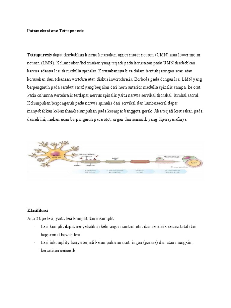 Patomekanisme dan Tipe Tetraparesis | PDF