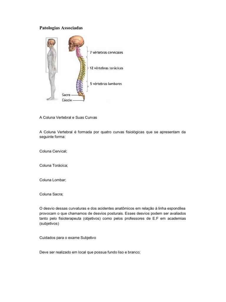 Os principais desvios posturais da coluna vertebral: suas causas ...