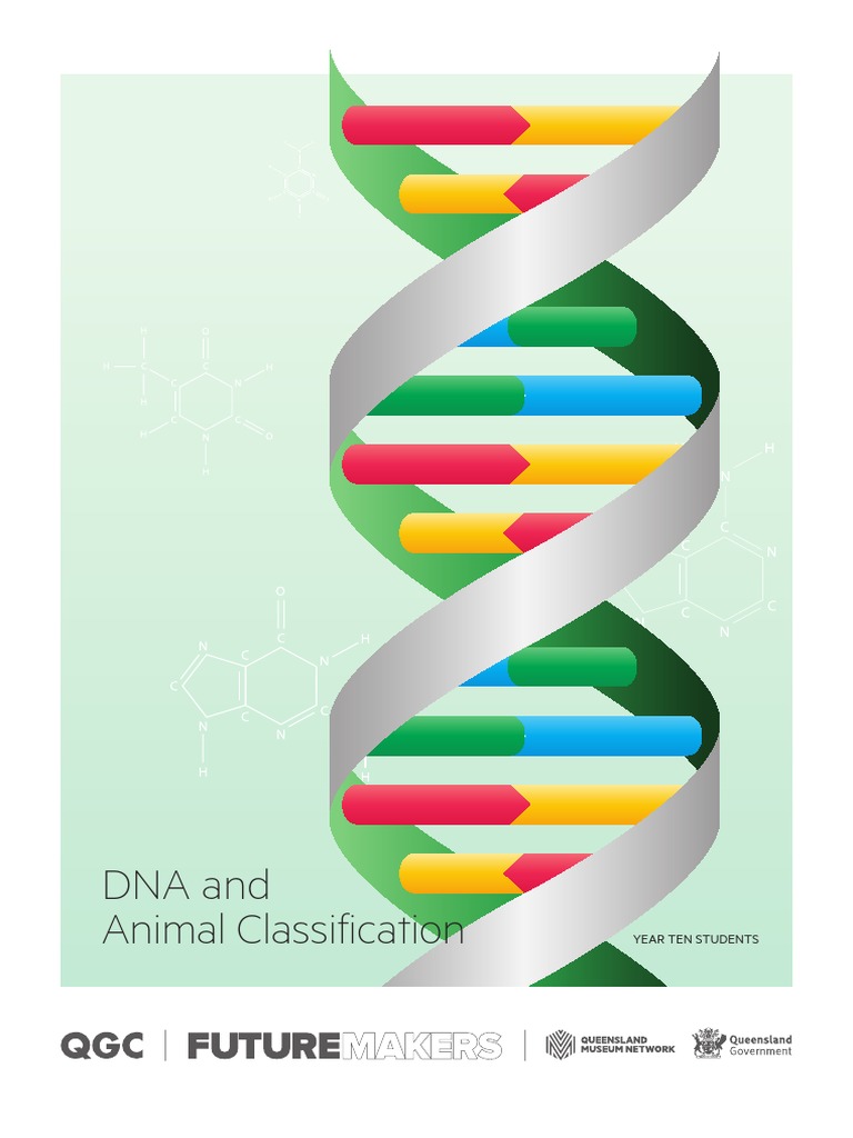 Dna And Animal Classification Year Ten Students Pdf Species Dna
