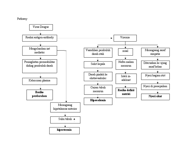 Pathway DBD pada Anak dan Dewasa | PDF