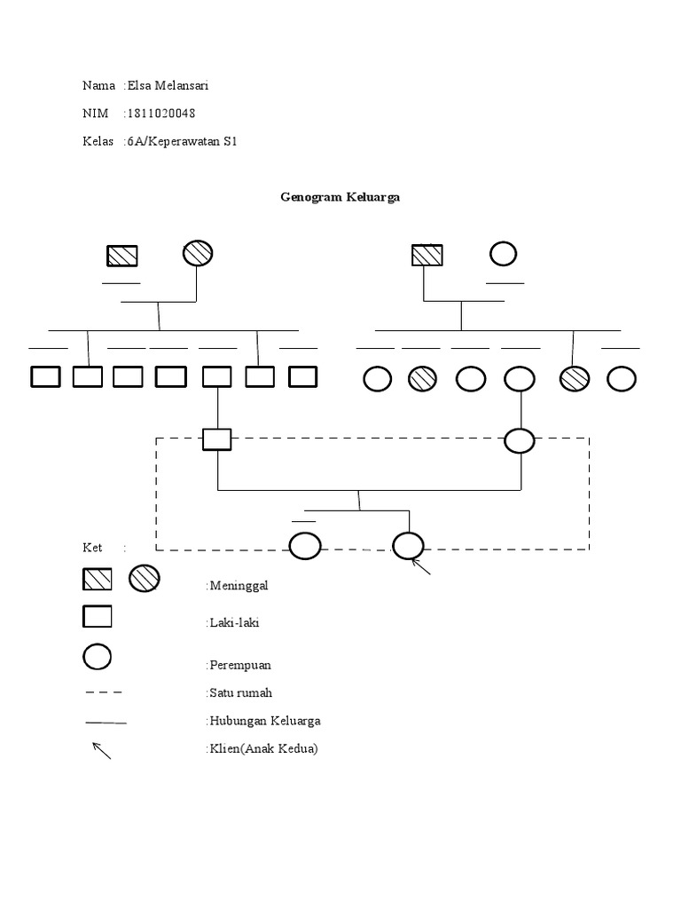 Genogram Keluarga - Elsa Melansari | PDF