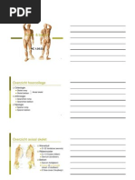 Zelfstudie Anatomie Wervelkolom en Thorax (Botten) | PDF