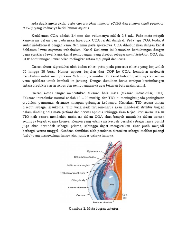 Kedalaman dan Fungsi Camera Okuli | PDF | Sains & Matematika