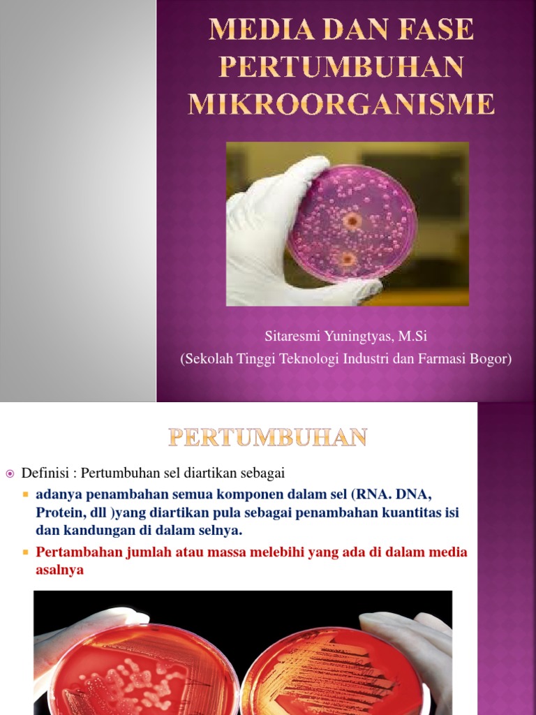 Pertemuan 3-Media Dan Fase Pertumbuhan Mikroorganisme | PDF
