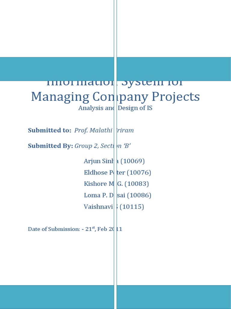 Project Management Information System Design | PDF | Project Management ...