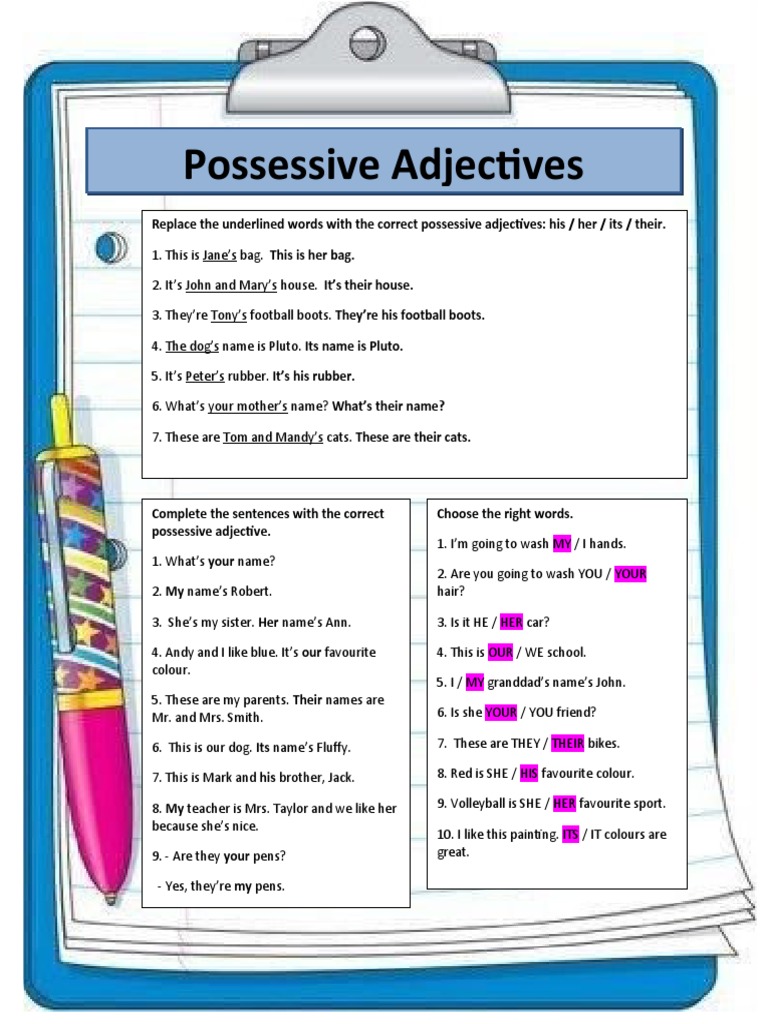 Possessive Adjectives Practice | PDF