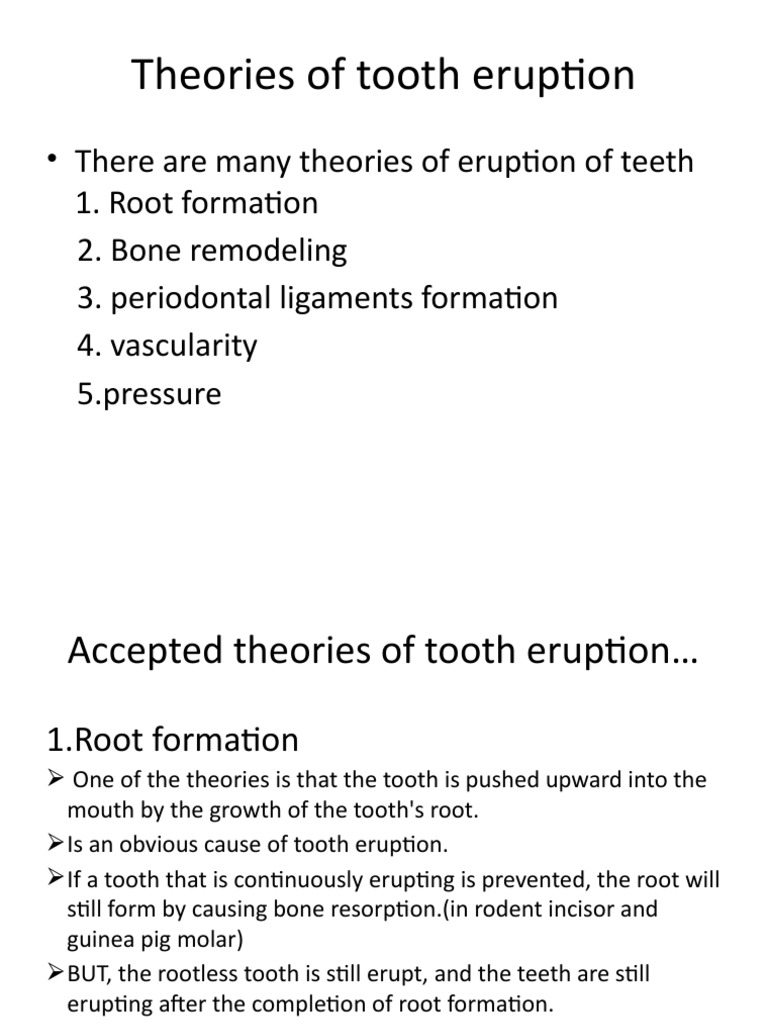 Theories of Tooth Eruption-For Shahid | PDF | Human Tooth | Medical ...